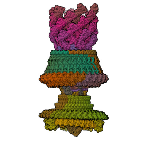 RCSB PDB - 8WLT: Cryo-EM structure of the membrane-anchored part of the ...