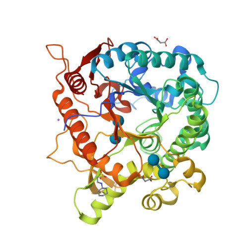 RCSB PDB - 8WN6: Crystal structure of GH1 beta-glucosidase Td2F2 E352Q ...