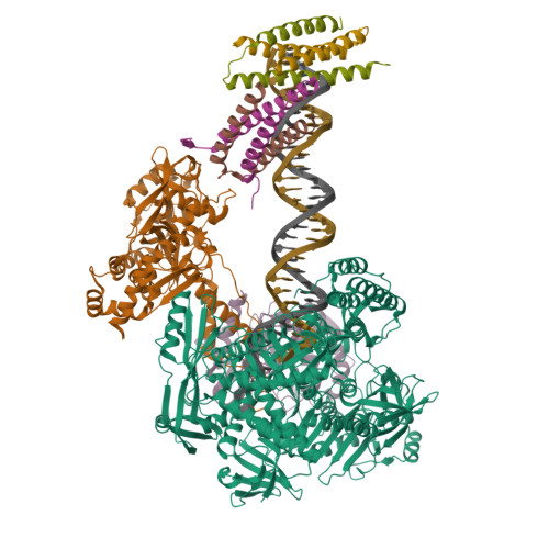 RCSB PDB - 8WPP: Structure of monkeypox virus polymerase complex F8-A22 ...