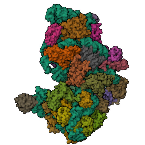 RCSB PDB - 8WQ4: Structural basis of translation inhibition by a valine ...