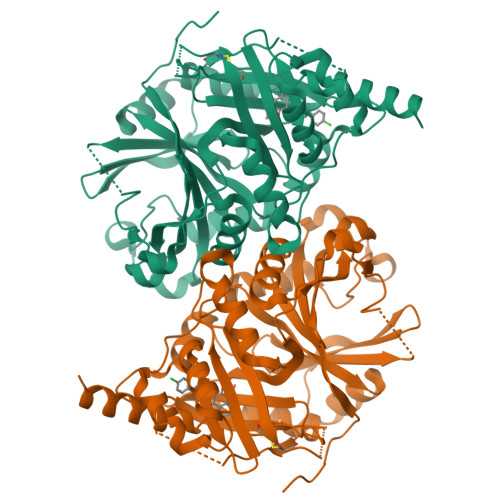 RCSB PDB - 8WQM: Complex structure of AtHPPD with Atovaquone