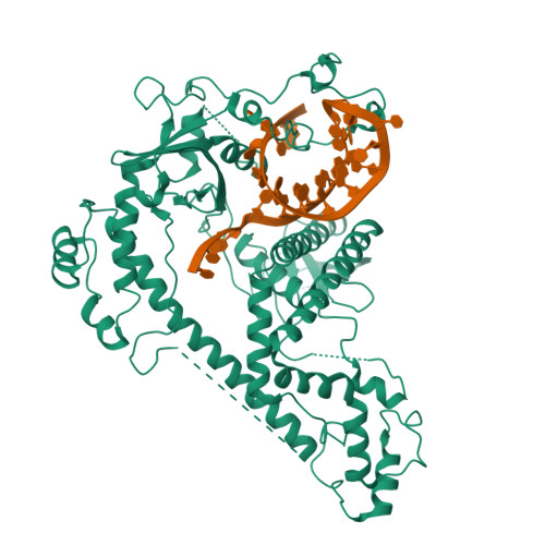 RCSB PDB - 8WRT: Cryo-EM structure of Cas12-1/crRNA complex