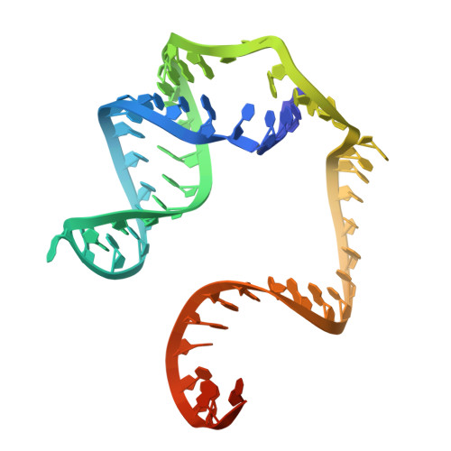 RCSB PDB - 8WRU: Cryo-EM structure of Cas12-2/crRNA/Target DNA complex