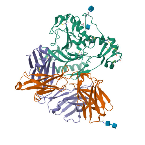 RCSB PDB - 8WSN: Crystal structure of SFTSV Gn and antibody SF1