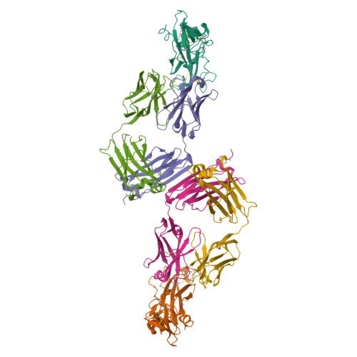 RCSB PDB - 8WSU: Crystal structure of SFTSV Gc and antibody