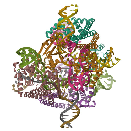 RCSB PDB - 8WT7: Cryo-EM structure of the IS621 recombinase in complex ...