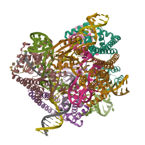 RCSB PDB - 8WT8: Cryo-EM structure of the IS621 recombinase in complex ...