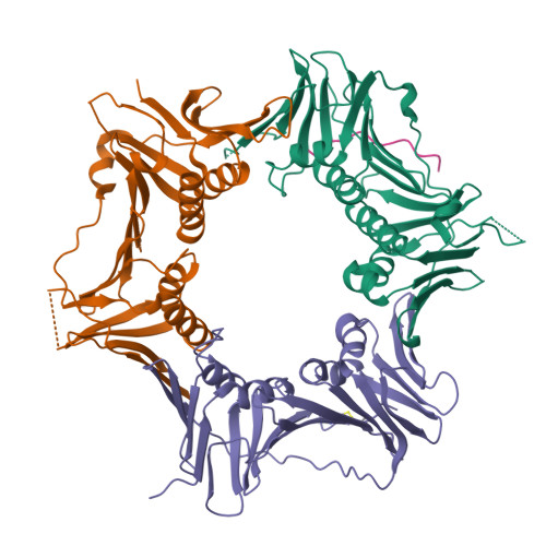 RCSB PDB - 8WU8: Crystal structure of the human RAD9-RAD1(F64A/M256A ...