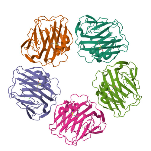 RCSB PDB - 8WV4: C-reactive protein, pentamer