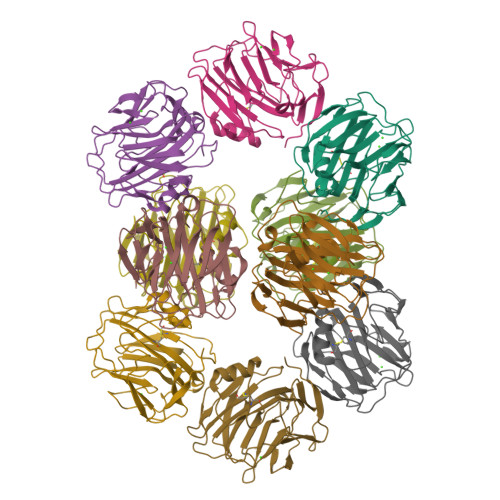RCSB PDB - 8WV5: C-reactive protein, decamer