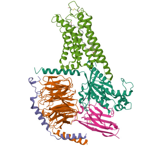 RCSB PDB - 8WW2: GPR3/Gs complex