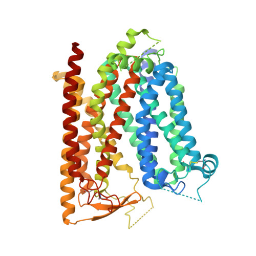 RCSB PDB - 8WX1: Cryo-EM structure of mouse SLC15A3 (outward-facing open)