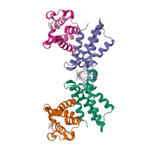 RCSB PDB - 8WYG: Crystal Structure of the second bromodomain of human ...