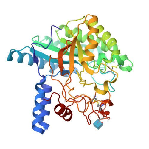 RCSB PDB - 8X04: X-Ray crystal structure of glycoside hydrolase family ...