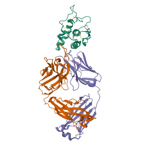 RCSB PDB - 8X0T: Frizzled8 CRD in complex with pF8_AC3 Fab
