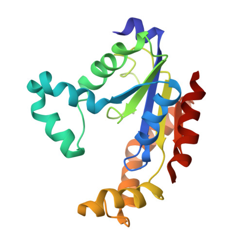 RCSB PDB - 8X1G: Human adenylate kinase 1 (hAK1) mutant-R97W