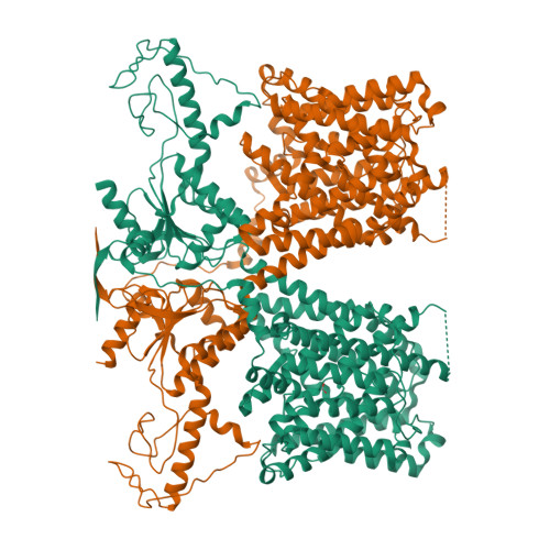 RCSB PDB - 8X1Q: Cryo-EM structure of human DRA (SLC26A3) bound with ...
