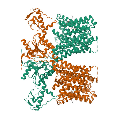 RCSB PDB - 8X1S: Cryo-EM structure of human DRA (SLC26A3) bound with ...