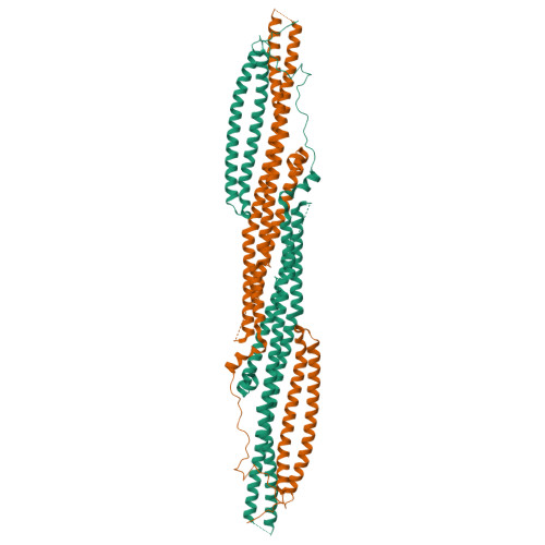 RCSB PDB - 8X2T: The Crystal Structure of FES from Biortus.