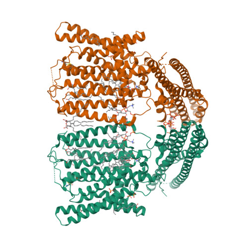 RCSB PDB - 8X5F: human XPR1 in complex with InsP6