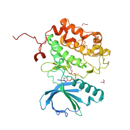 RCSB PDB - 8X72: The Crystal Structure of PLK1 from Biortus.