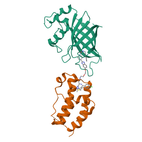 RCSB PDB - 8X7G: Crystal structure of the ternary complex of GID4 ...