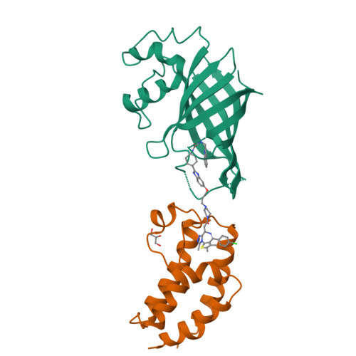 RCSB PDB - 8X7H: Crystal structure of the ternary complex of GID4 ...