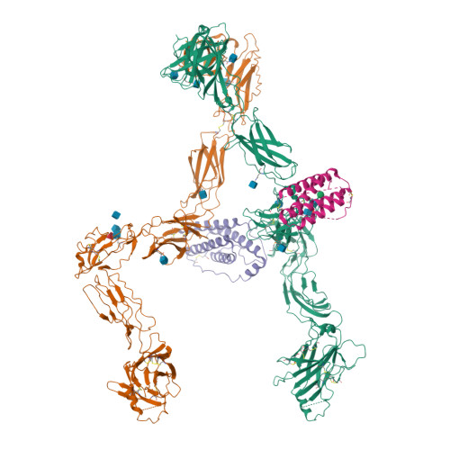 RCSB PDB - 8X85: Structure of leptin-LepR dimer