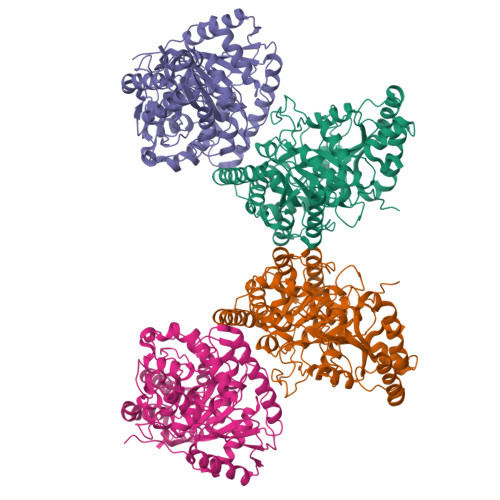RCSB PDB - 8XAC: Crystal structure of amidase from Pseudonocardia acaciae