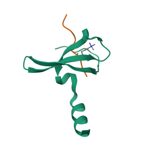 RCSB PDB - 8XAG: Crystal structure of the chromodomain of Arabidopsis ...