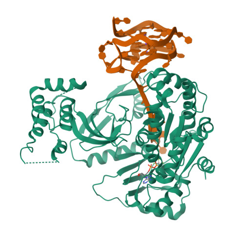RCSB PDB - 8XAK: Structure of Pif1-G4 complex