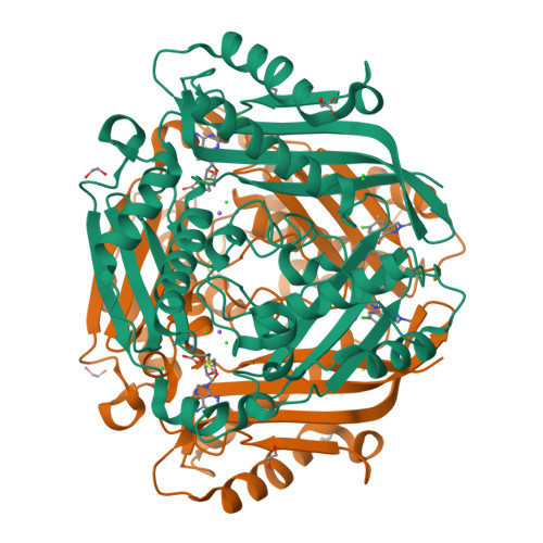 RCSB PDB - 8XB0: Structure-Based Design and Optimization of Methionine ...