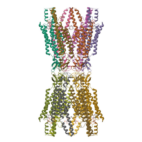 RCSB PDB - 8XBM: Structure of Cx43/GJA1 gap junction intercellular ...