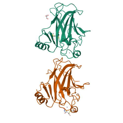 RCSB PDB - 8XCB: Cocrystal structure of p53 in complex of B20