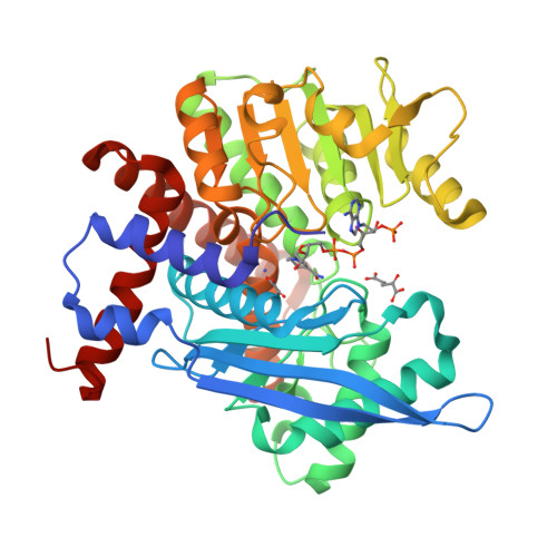 RCSB PDB - 8XD6: Cryo-EM structure of Glutamate dehydrogenase from ...