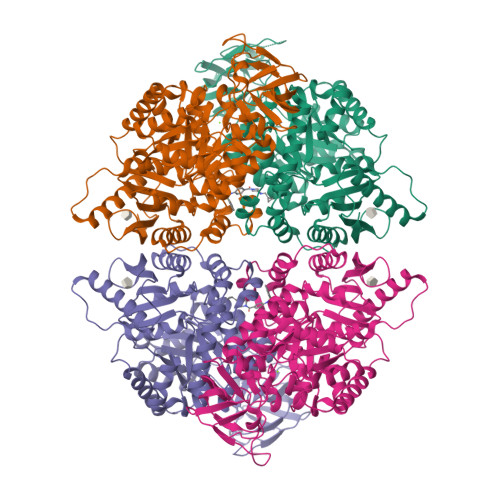 RCSB PDB - 8XFD: Crystal structure of pyruvate kinase tetramer in ...