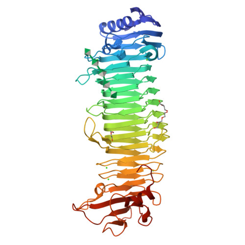 RCSB PDB - 8XFQ: Structure of the alginate epimerase/lyase complexed ...