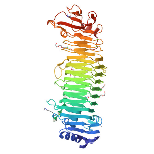 RCSB PDB - 8XFR: Structure of the alginate epimerase/lyase complexed ...