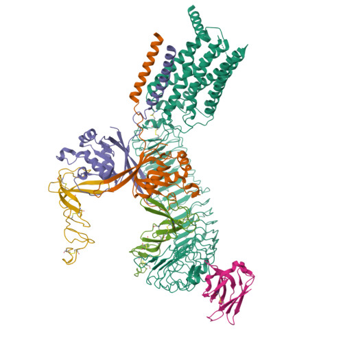 RCSB PDB - 8XFS: LGR4-RSPO2-ZNRF3 RING domain (1:2:2)