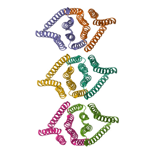 RCSB PDB - 8XH7: Structure of EBV LMP1 oligomer