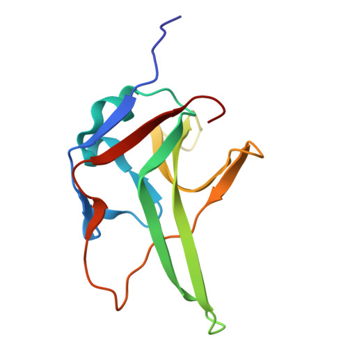 RCSB PDB - 8XID: DGNNV protrusion domain structure at neutral pH