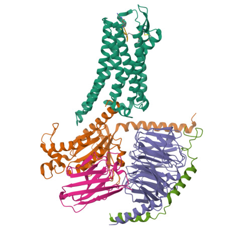 RCSB PDB - 8XIP: Structure of Pasireotide-SSTR1 G protein complex