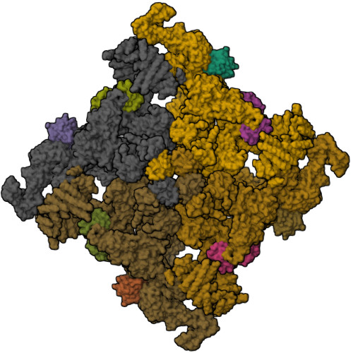 RCSB PDB - 8XJI: Structure of chimeric RyR complex with flubendiamide
