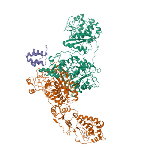 RCSB PDB - 8XJT: Cryo-EM structure of colibactin assembly line ...