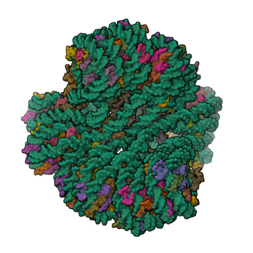 RCSB PDB - 8XJV: Structural basis for the linker histone H5-nucleosome ...
