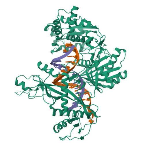 RCSB PDB - 8XJX: Structure of the Argonaute protein from Kurthia ...