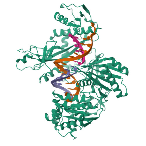 RCSB PDB - 8XK3: Structure of the Argonaute protein from Kurthia ...