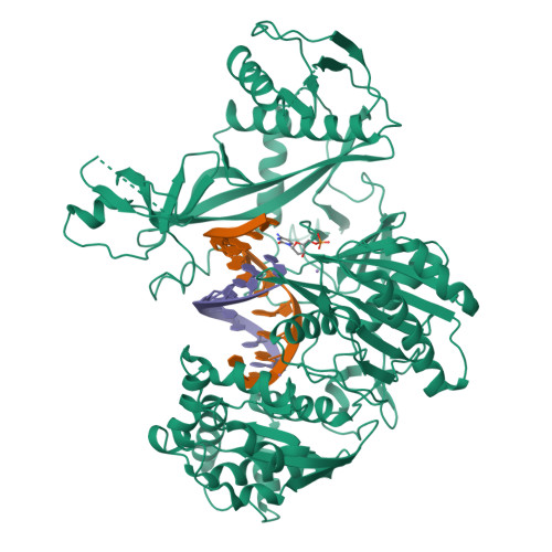 RCSB PDB - 8XK4: Structure of the Argonaute protein from Kurthia ...