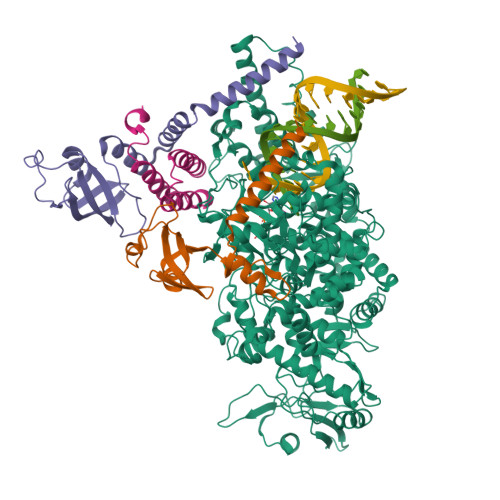 RCSB PDB - 8XKO: CryoEM structure of compound HNC-1664 bound with RdRP ...