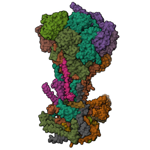 RCSB PDB - 8XKU: Cryo-EM structure of the Ycf2-FtsHi motor complex from Arabidopsis in ATP-bound ...